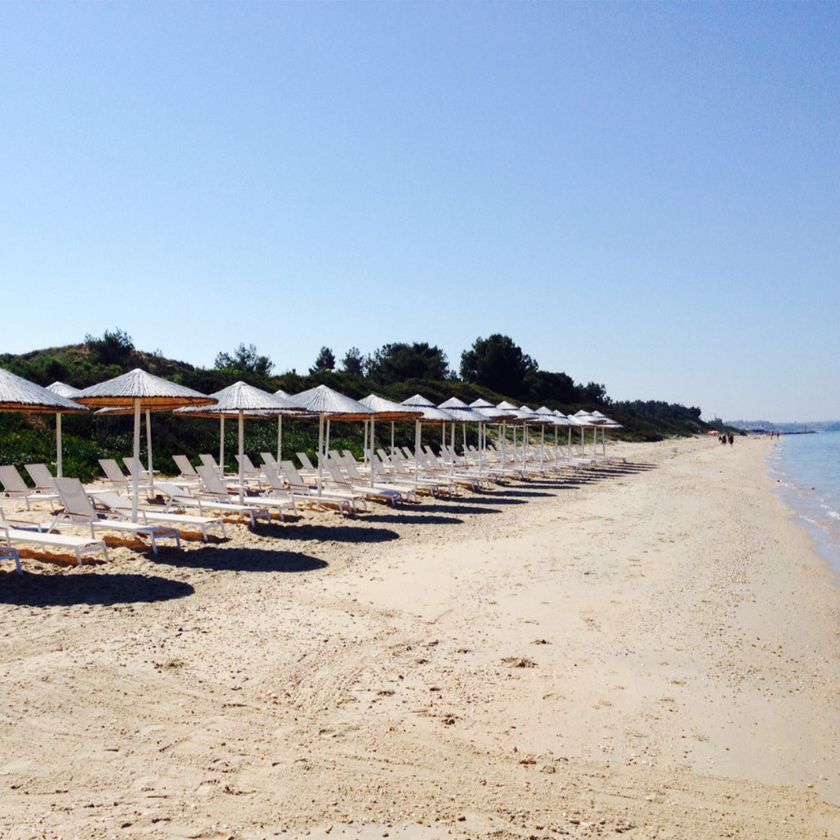 Camastro Amelia – Salt House